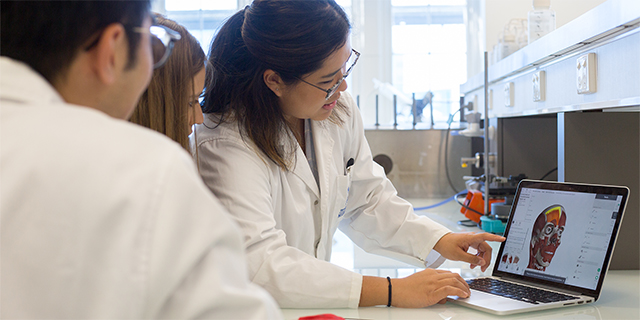 Study Medicine, Dentistry, and Health Sciences at Uni of Melbourne