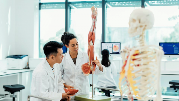 Rural Medicine