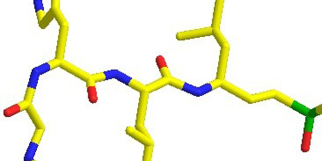 New drug in race against malaria's deadly resistance to treatment